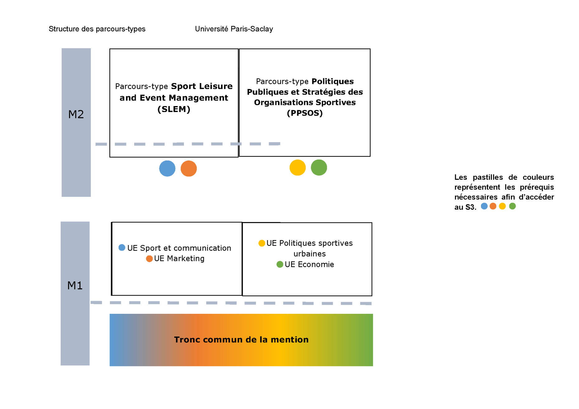 STAPS : Management du sport | Université Paris-Saclay
