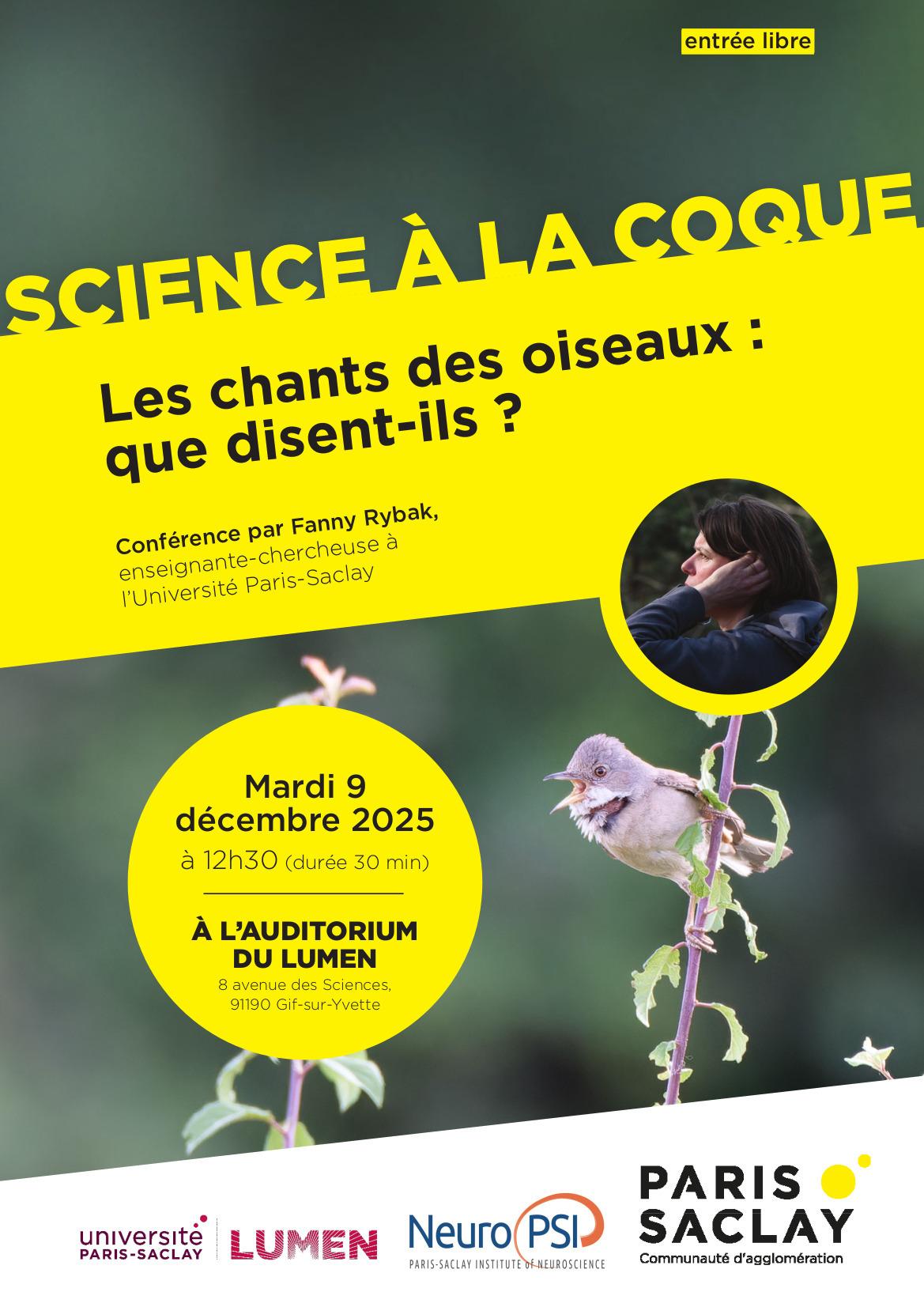 Science à la coque : Les chants des oiseaux : que disent-ils ...