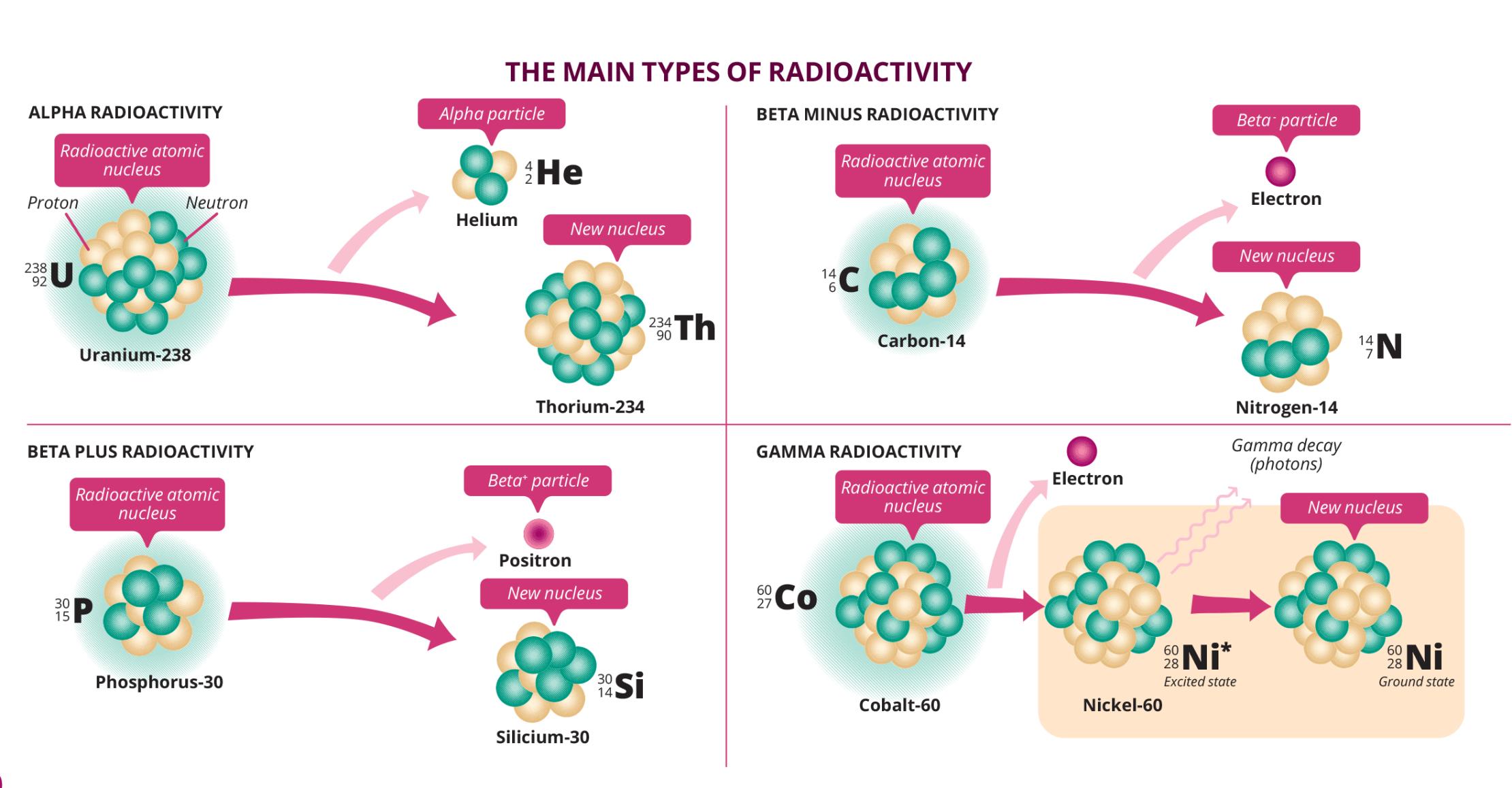 Artificial radioactivity: a crucial discovery for nuclear medicine made ...