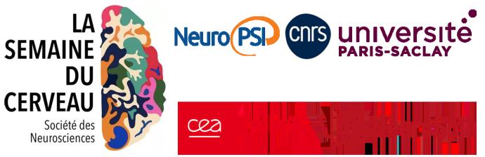 Semaine du cerveau NeuroSpin et NeuroPSI 2025 | Université Paris-Saclay