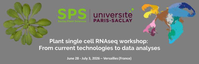SPS Summer School 2026 - "Plant single cell RNAseq workshop: From ...