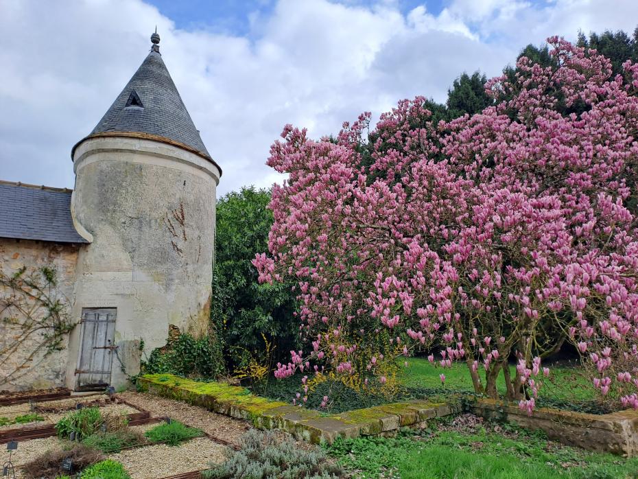 Visite Historique et collections : introduction au Jardin botanique ...
