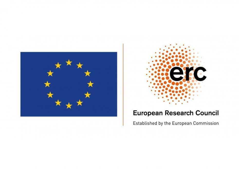 WEBINAIRE - Sessions d'information pour l'appel ERC Advanced Grant 2025 ...